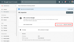 How to Get Google to Index Your New Website Instantly